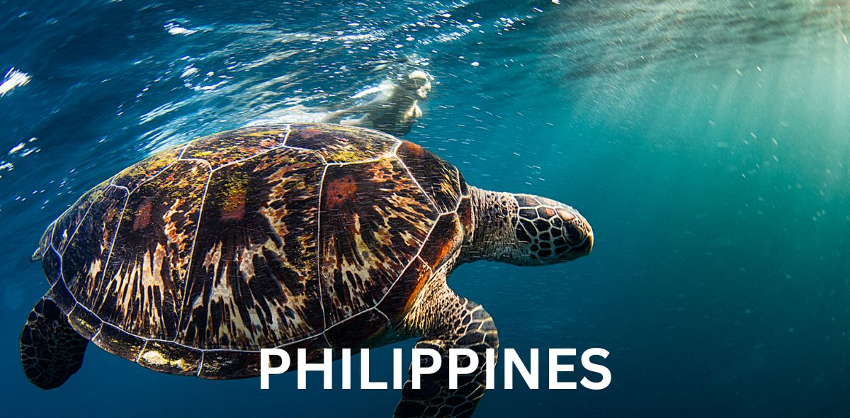 SwimQuest Philippines - adventure swimming holiday in The Visayas