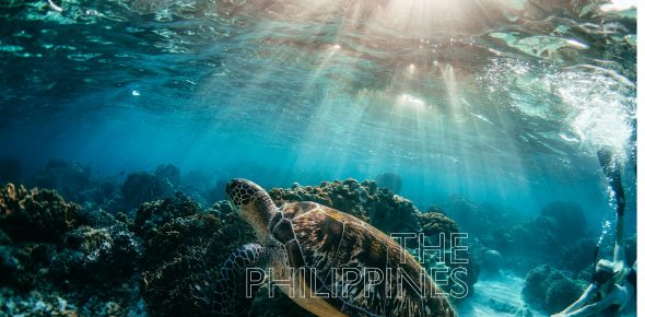 SwimQuest Philippines - adventure swimming holiday in The Visayas