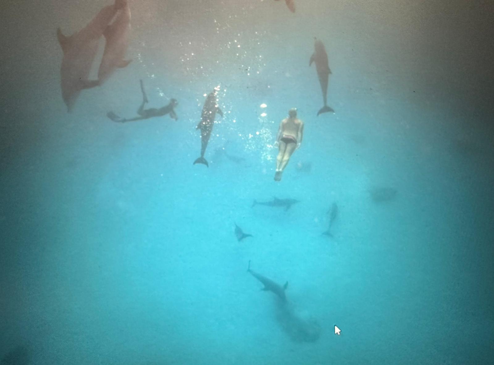 MEET SWIMQUEST GUIDE CLARE JEVONS - SwimQuest Swimming Holidays